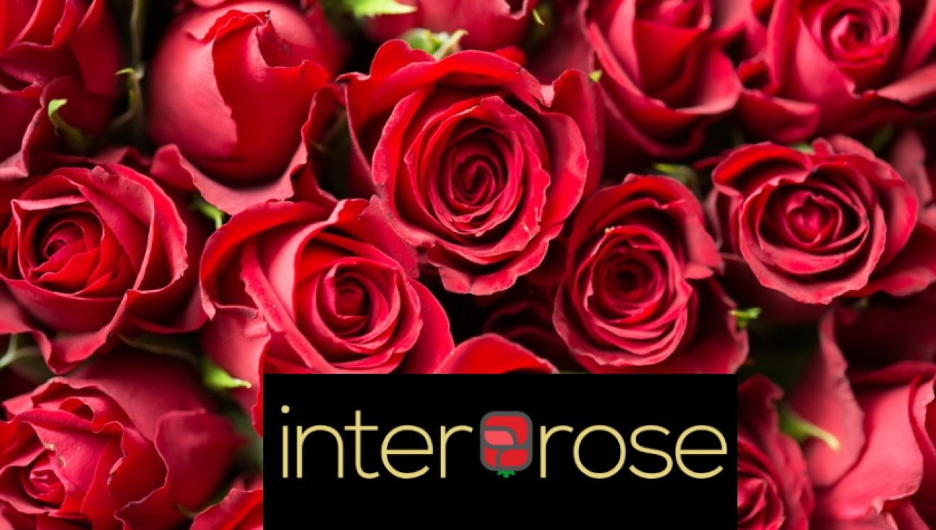 10% DISCOUNT AT INTERROSE.CO.UK FLOWERS - Police Discount Offers